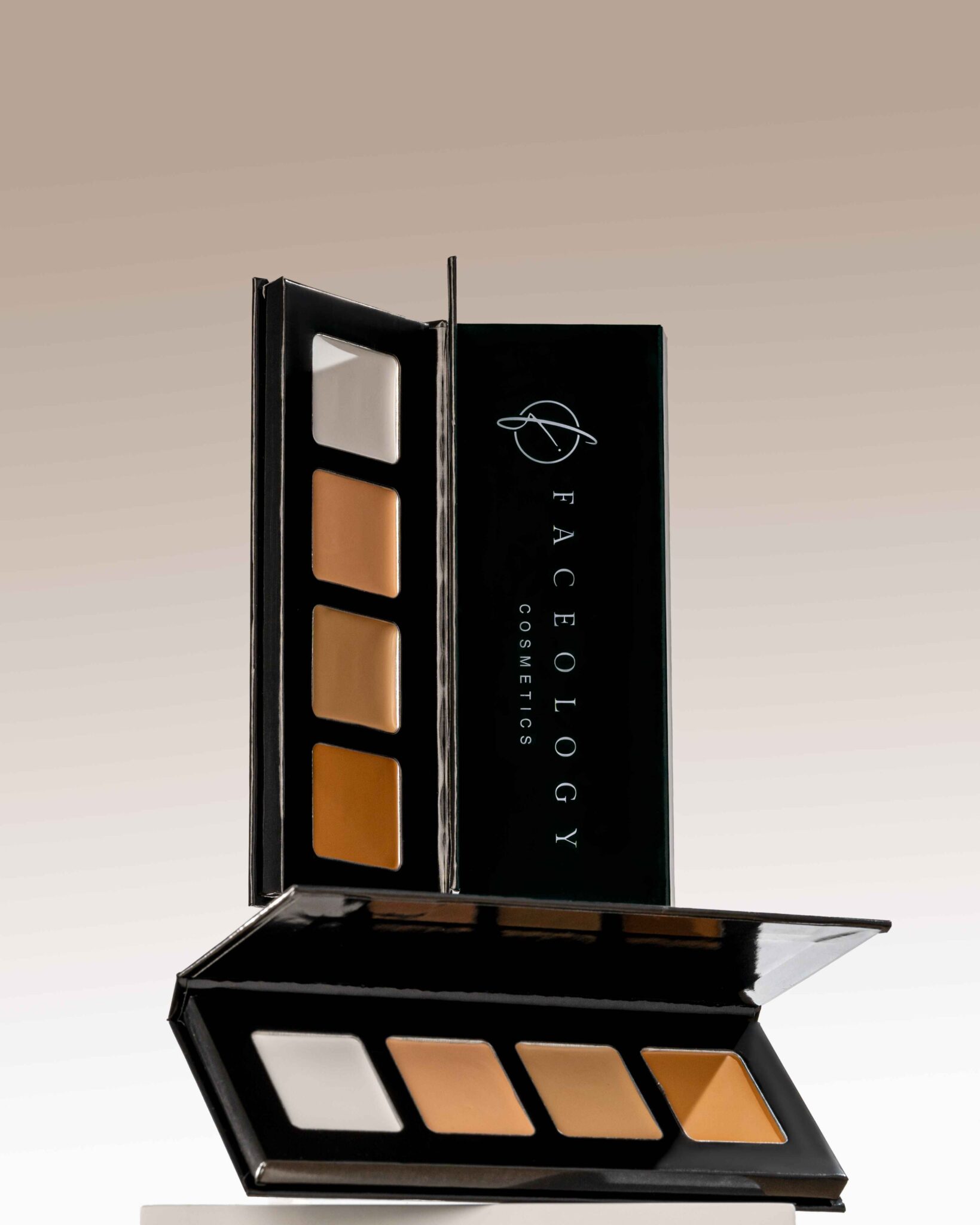 Faceology Cosmetics Concealer Palette - The Beauty Mark